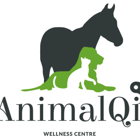 Mango Fly Larvae: Impact on Pets, Prevention & Detection (South Africa)